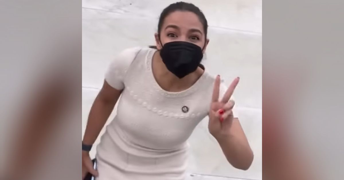 INCOMPLETE PICTURE EDITION - AOC ASS, PET SADNESS, $100 OF FOOD ...