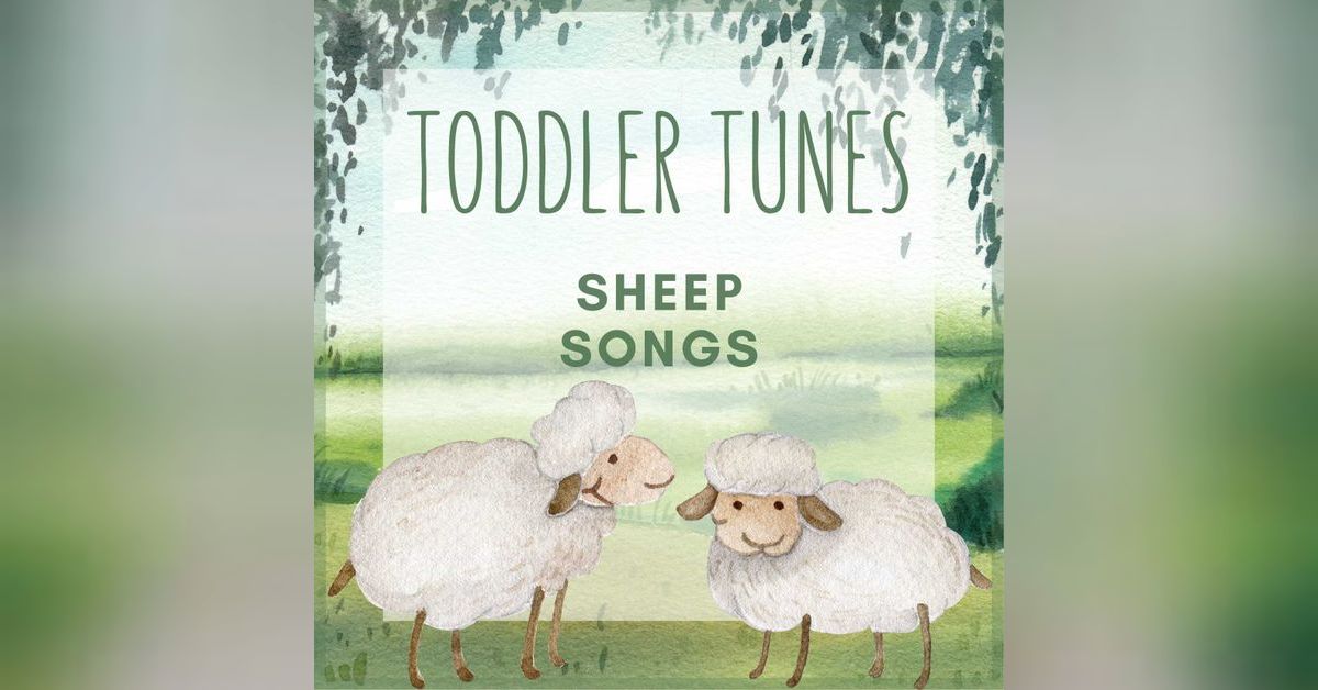 Sheep Songs | Nursery Rhymes | Baby Music | Music Education | Fun Songs ...