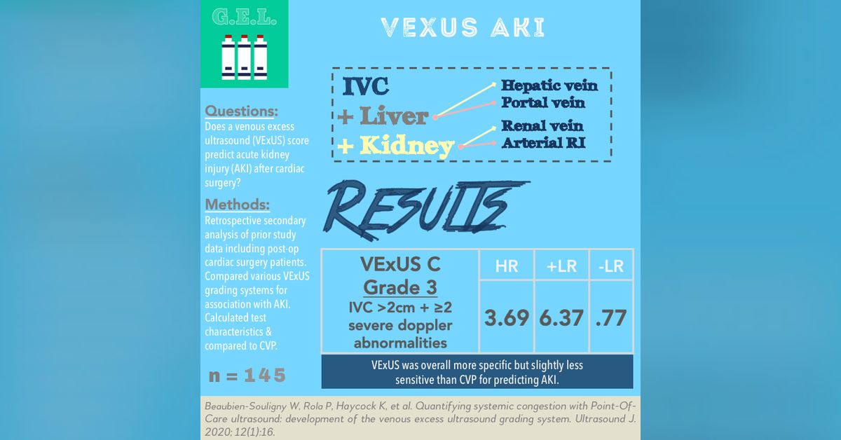 VExUS | Ultrasound GEL