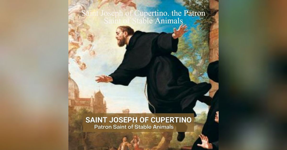 Saint Joseph of Cupertino. the Patron Saint of Stable Animals | The ...