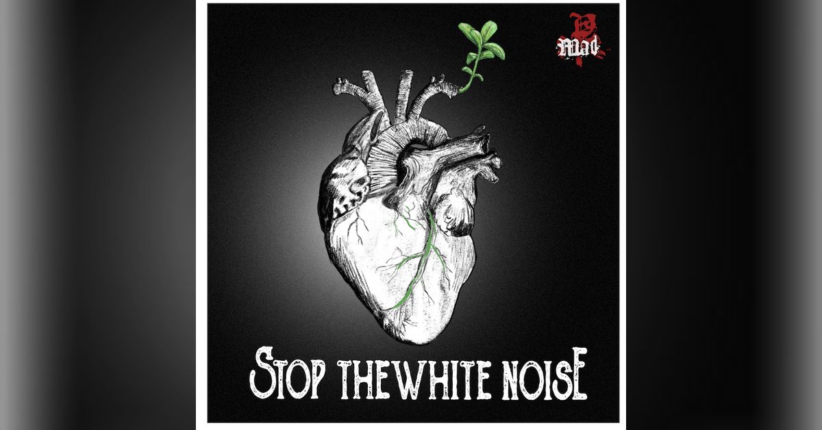 Bonus: Sermon: Why Palm Sunday? | A Brief History of Power