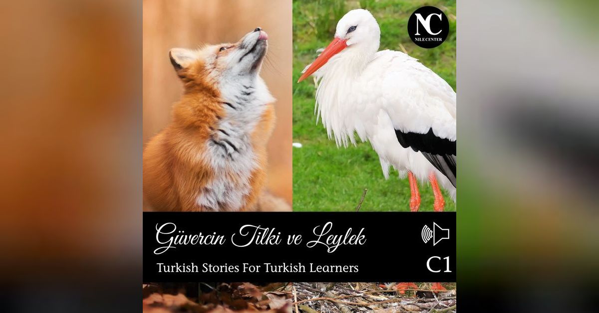 Güvercin, Tilki ve Leylek / Turkish Stories C1 | Turkish Stories