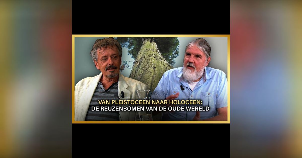 Van Pleistoceen naar Holoceen: De Reuzenbomen van de Oude Wereld ...