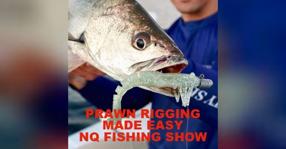 Dirty Prawno,s & Blue Collar Tackle NQ Fishing Show | NQ Fishing Show ...