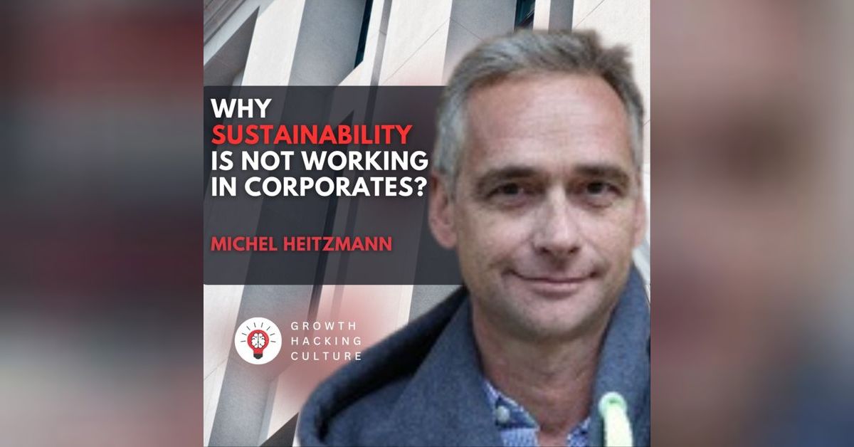 Michel Heitzmann on Why Sustainability is not Working in Corporates ...