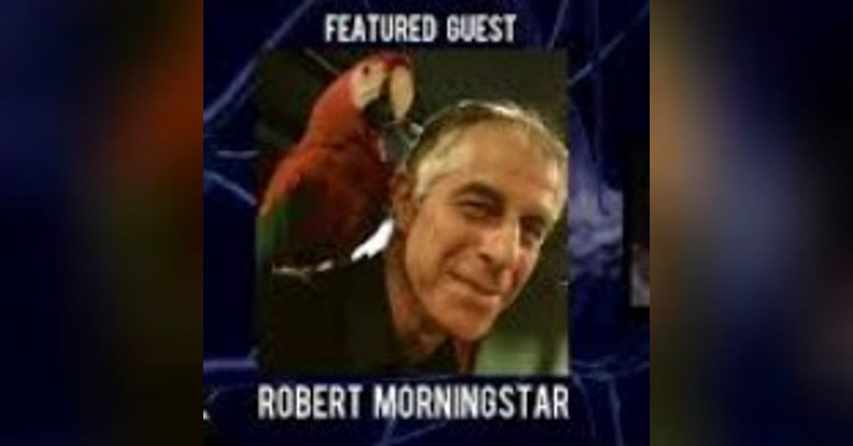 Robert Morningstar on Consciousness | Broadcast Team Alpha Show