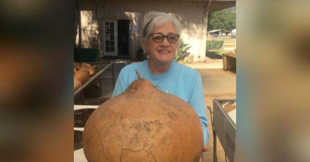 The Art Box - Episode 23 - Ten Minutes With - ’October 2022 Artist of ...