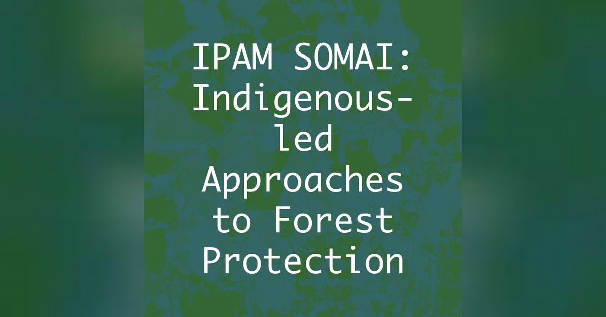 IPAM SOMAI: Indigenous-led Approaches to Forest Protection | Smart ...