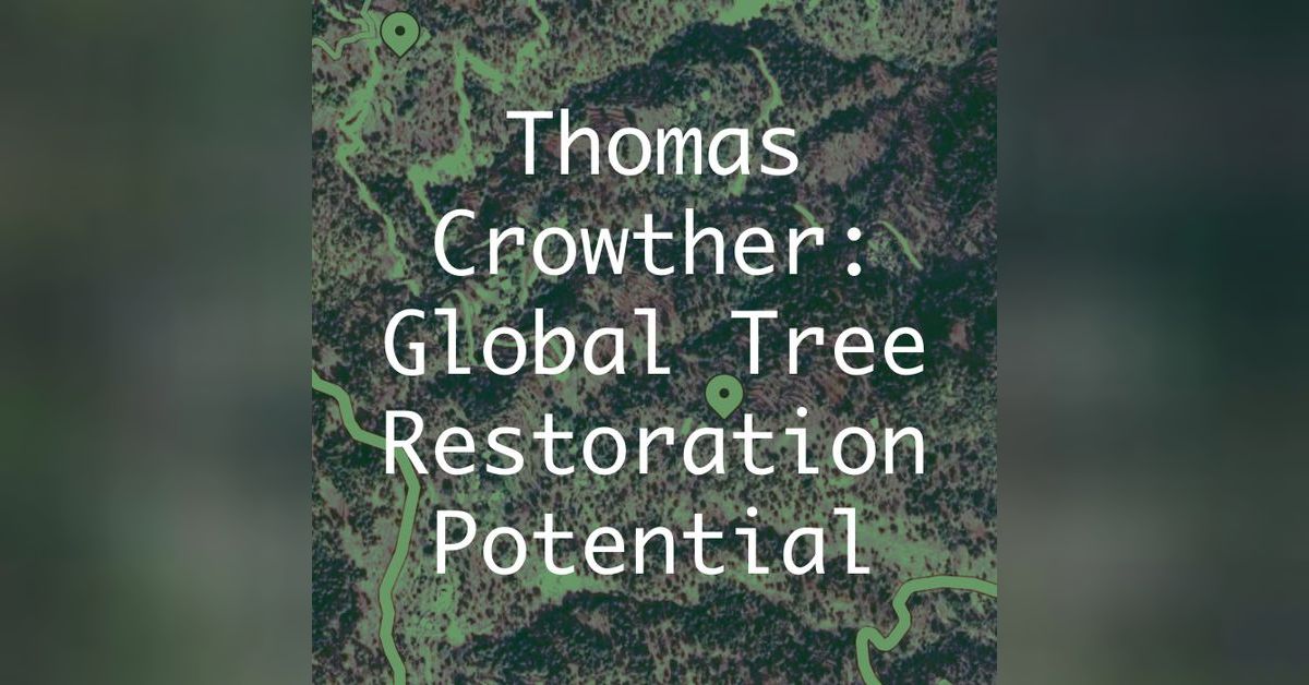 Thomas Crowther: Global Tree Restoration Potential | Smart Forests Radio