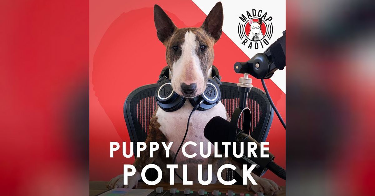Madcap Radio Podcast - Puppy Culture Potluck: Ep9 - Puppies That ...