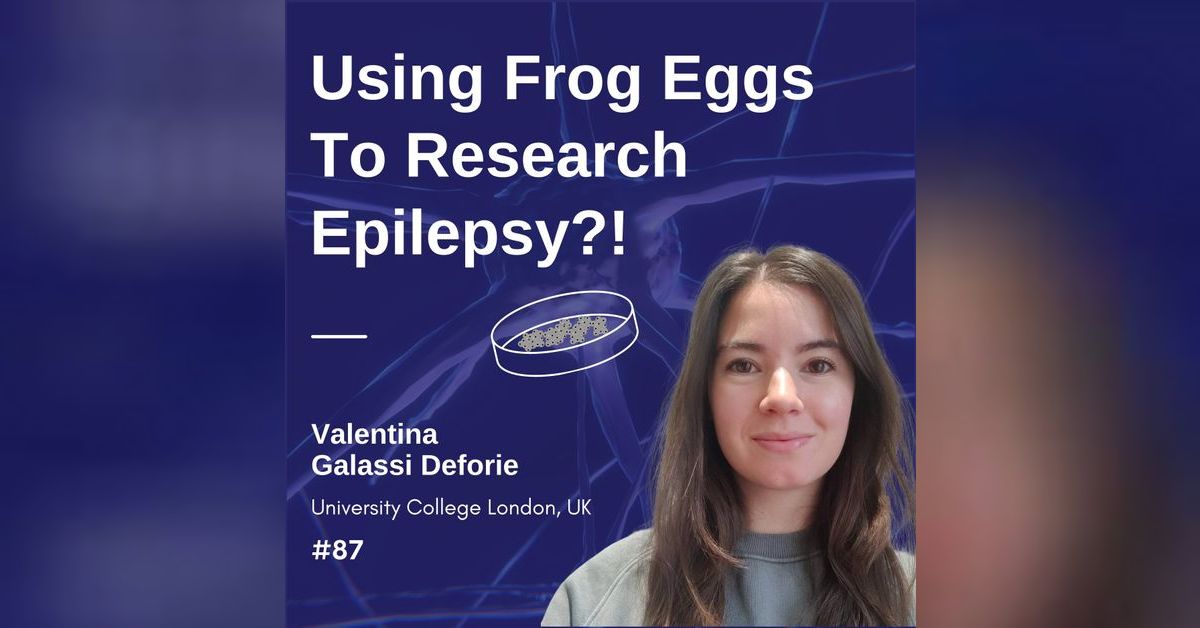 Using Frog Eggs To Research Epilepsy?! - Valentina Galassi Deforie ...
