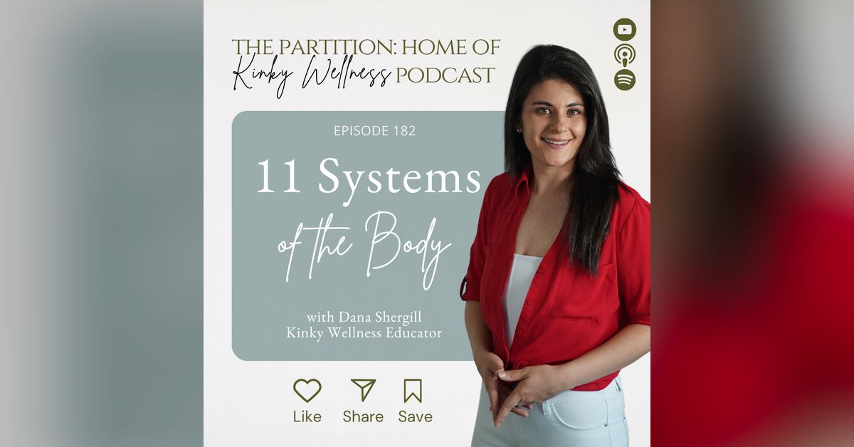 11 Systems of the Body | The Partition: Home of Kinky Wellness