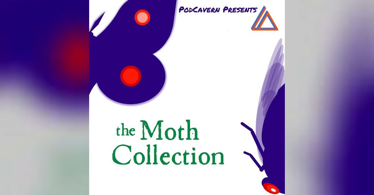 9. In the Margins | The Moth Collection