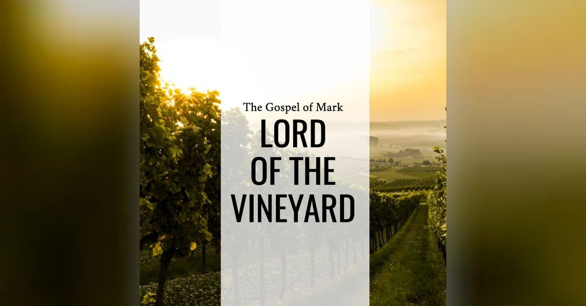 Sermon: Lord of the Vineyard (Mark 12:1-12) | The Local Christendom ...