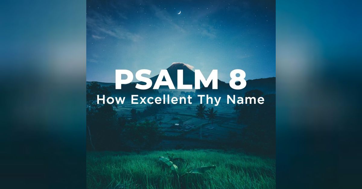 Sermon: How Excellent Thy Name (Psalm 8) | The Local Christendom ...