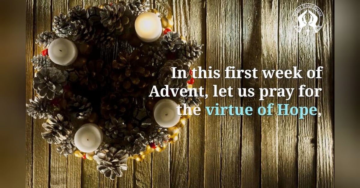 Advent begins with hope in the Lord | Fatima Today