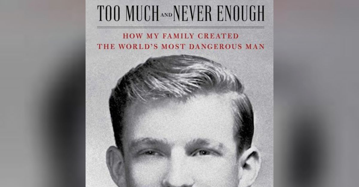 Too Much and Never Enough: A Family's Revealing Portrait | Bookey Best ...