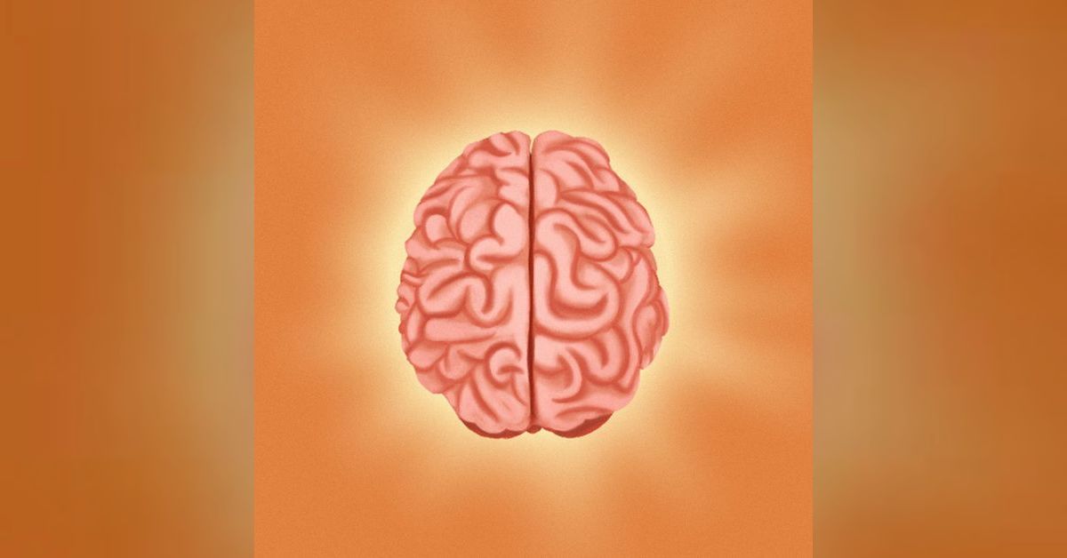 Brain Rules Book: A Breakdown of John Medina's Findings | Bookey Best ...