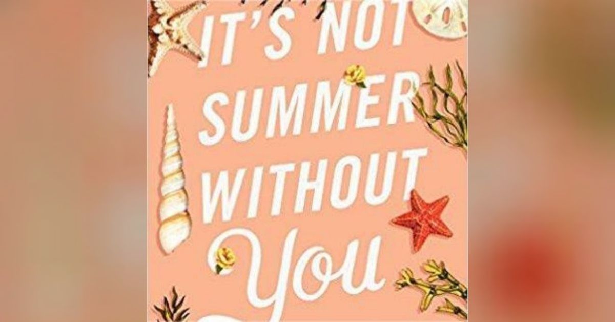 It's Not Summer Without You: A Comprehensive Summary | Bookey Best Book ...