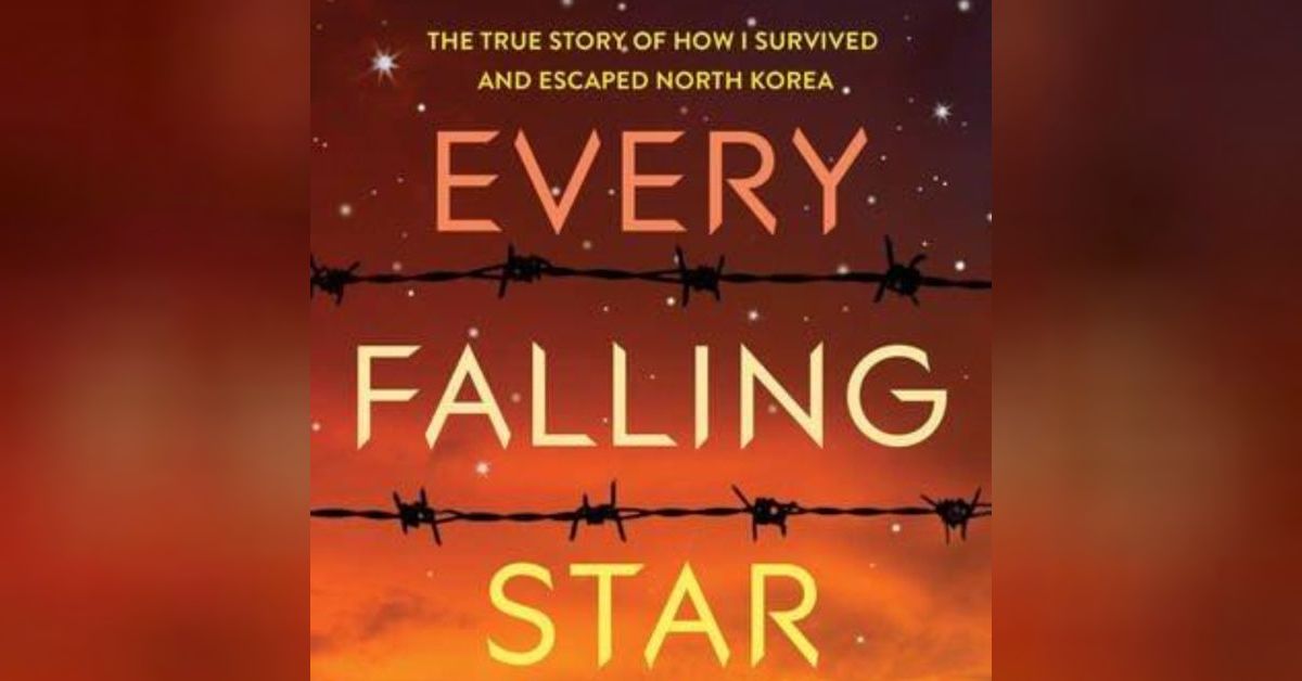 Every Falling Star: Engaging Audio Summary of Sungju Lee's Inspiring ...