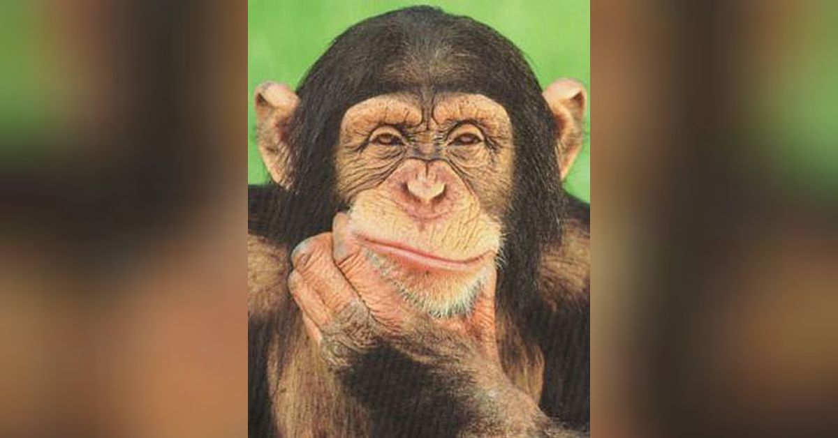 43 Years Sober, the Largest Re/Max Franchise in the World, and "The ...