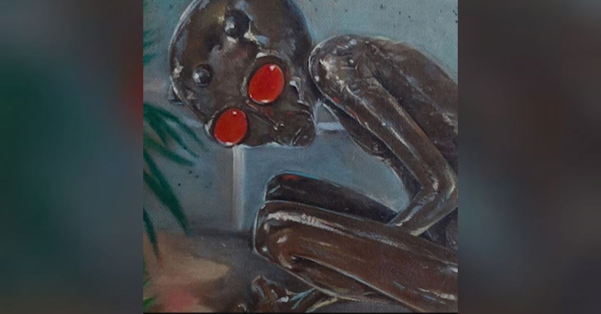 Examining the Evidence - The Varginha UFO Case Revisited (Brazil UFOs ...