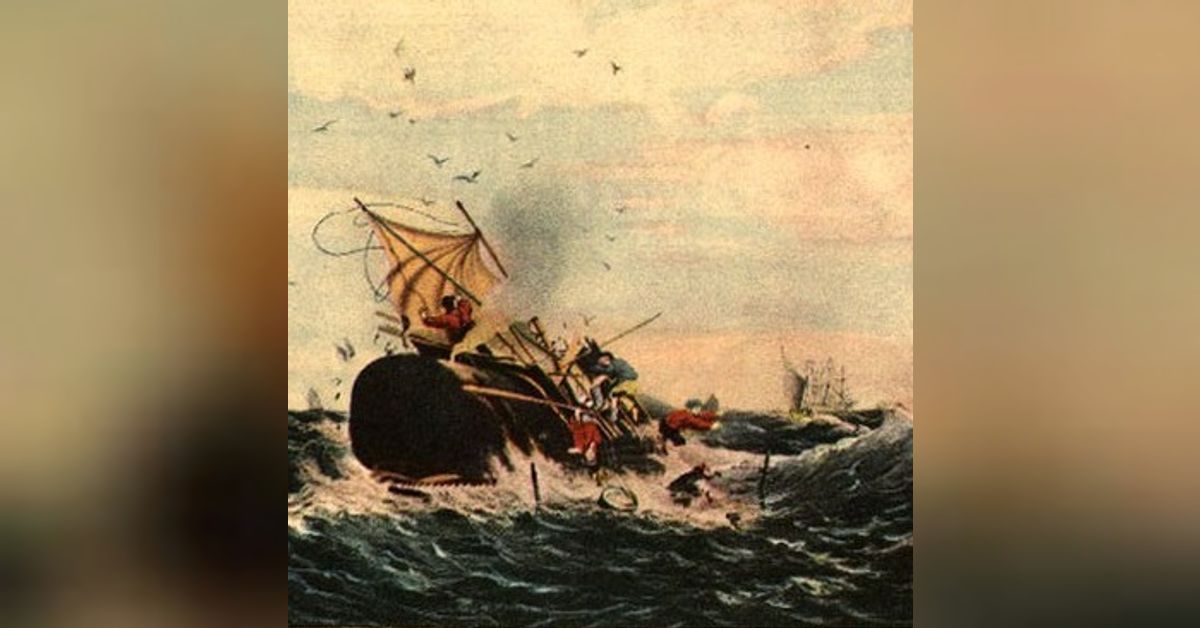 Captain Ahab and ”Moby Dick” with Dr. Virginia Arbery | The After ...