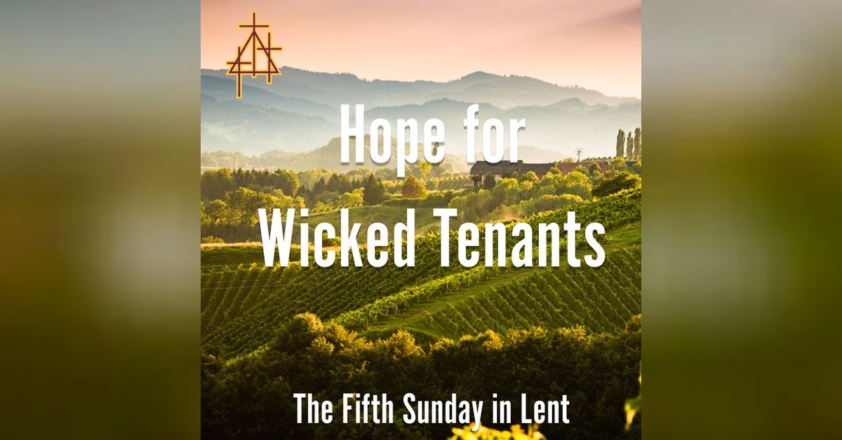 Hope for Wicked Tenants | Luke 20:9–20 | The Parable of the Wicked ...