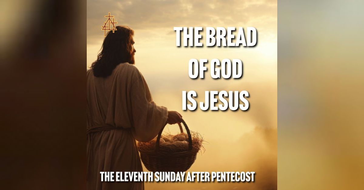 Bible Study: The Bread of God is Jesus | John 6:22-35 | I Am the Bread ...