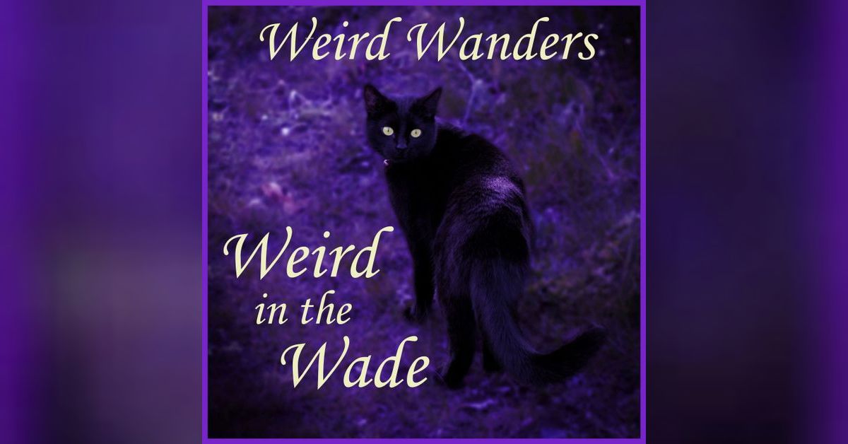 15. Weird Wanders Two: My night in York's Most Haunted Inn | Weird in ...