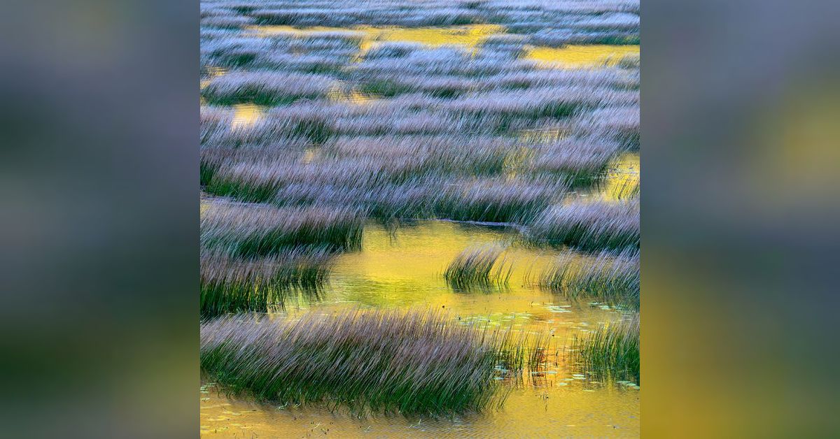 Colleen Miniuk - Creativity as a Visual Artist | F-Stop Collaborate and ...