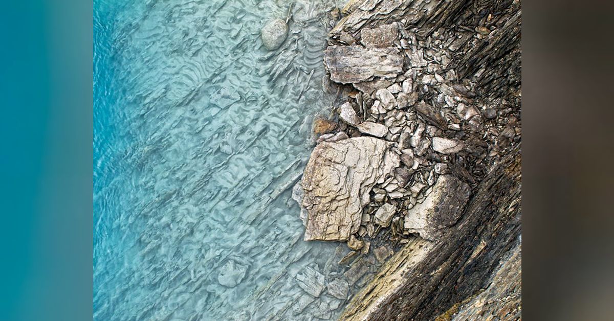 Darwin Wiggett & Samantha Chrysanthou - The League of Landscape ...