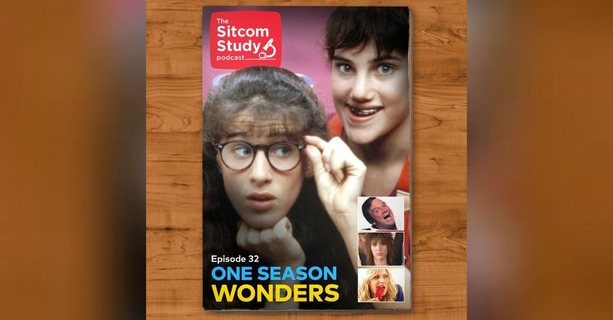 One Season Wonders | The Sitcom Study