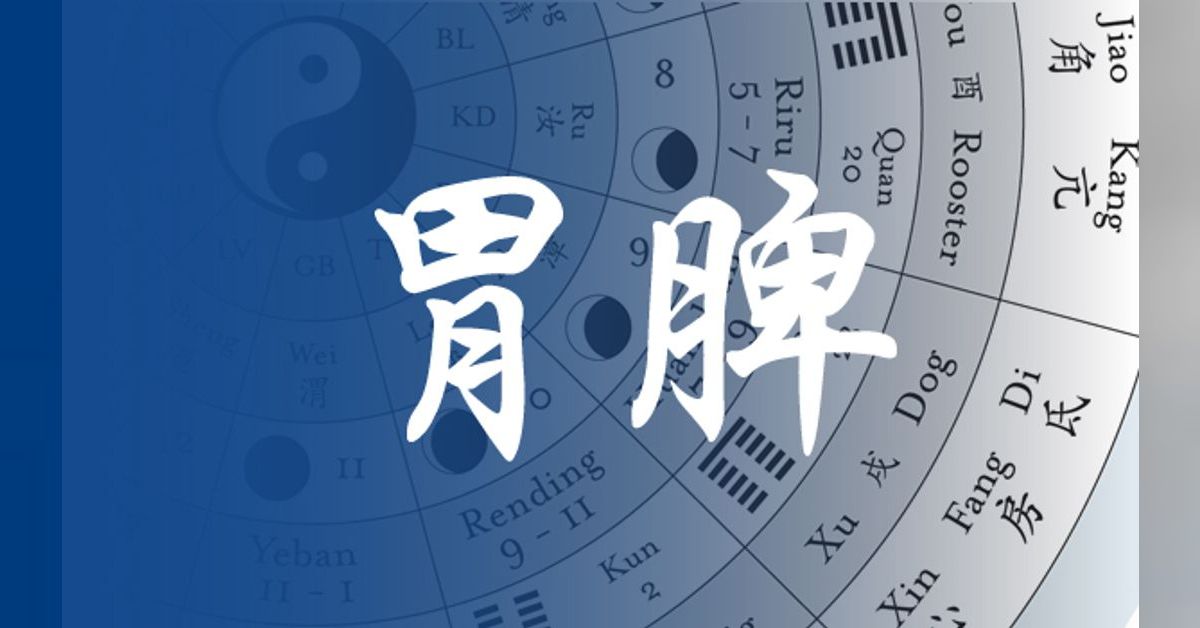 The Stomach and Spleen Organ Networks of Chinese Medicine | True Nature ...