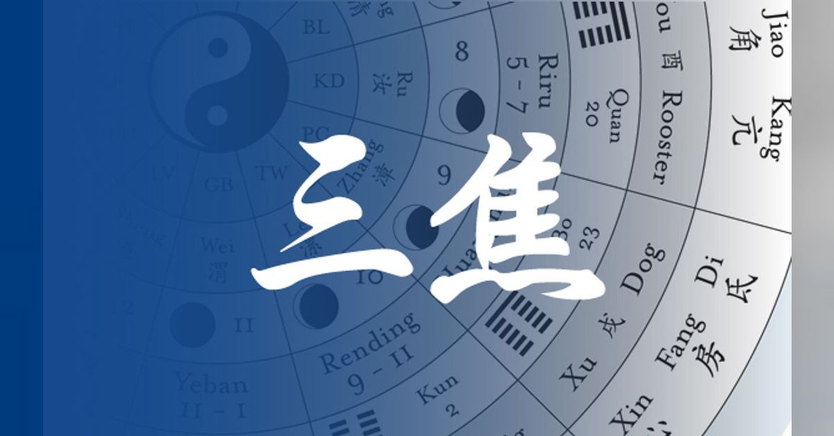 The Triple Warmer Organ Network of Chinese Medicine | True Nature Radio