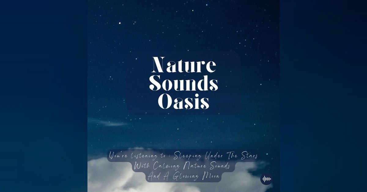 Sleeping Under The Stars With Calming Nature Sounds | Nature Sounds For Sleep, Meditation ...