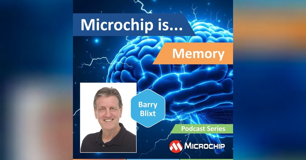 Microchip is… Memory | Microchip is...