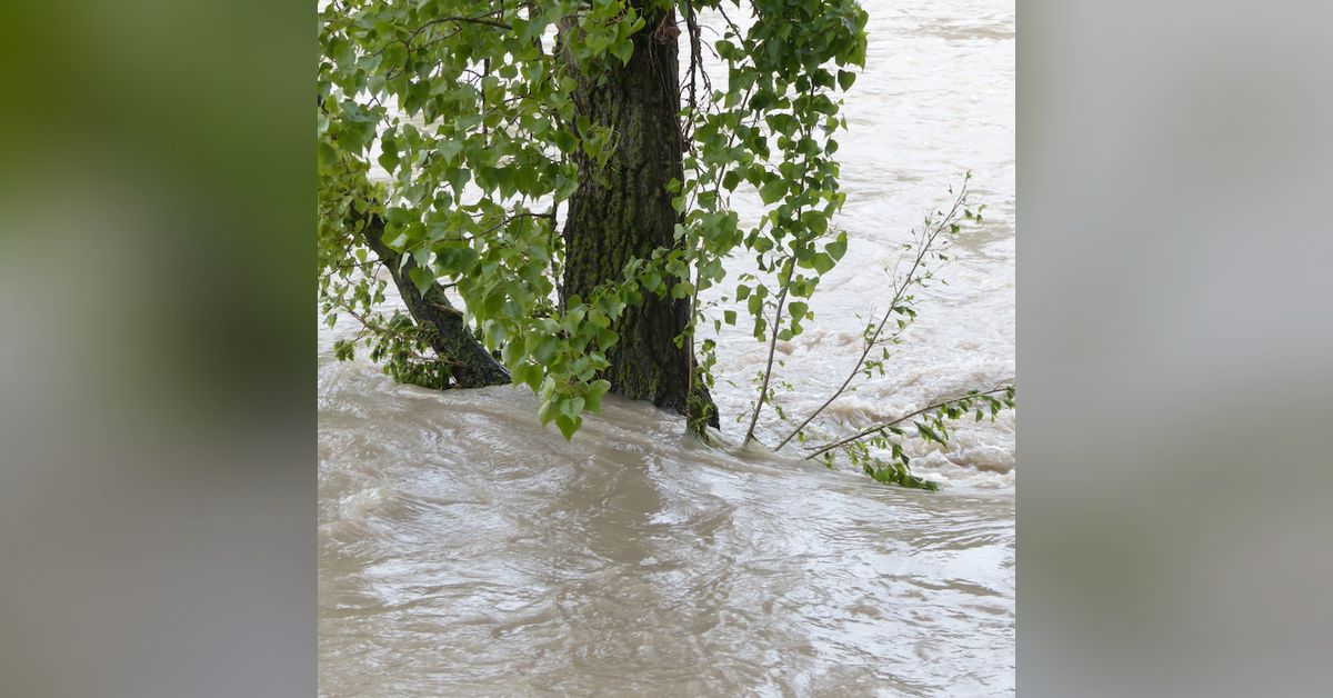 Unity in Tragedy: The Texas Flood Disaster Two Weeks On | Impact!