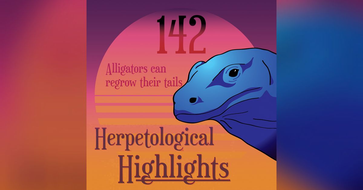142 Alligators can regrow their tails | Herpetological Highlights