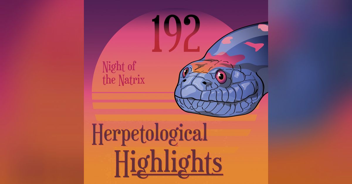 192 Night of the Natrix | Herpetological Highlights