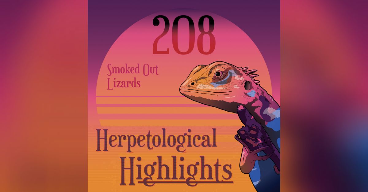 208 Smoked Out Lizards | Herpetological Highlights