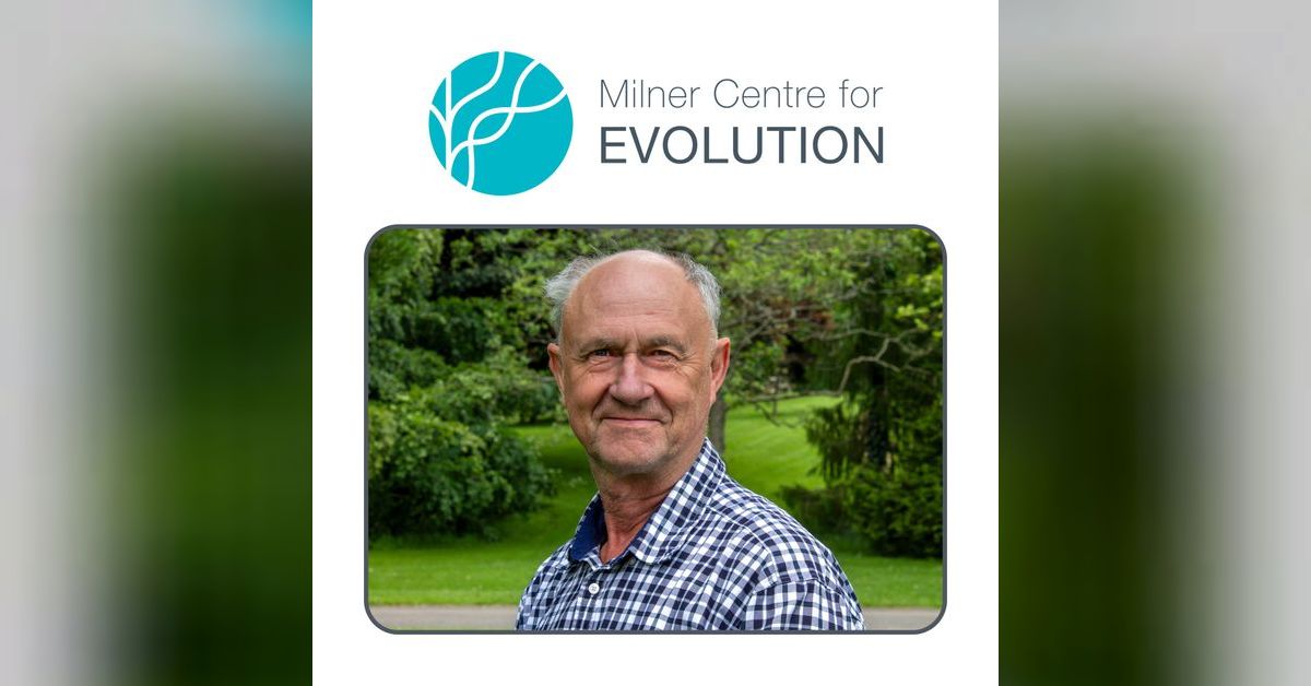 The Evolution Of Sex Roles The Importance Of Ecology And Social