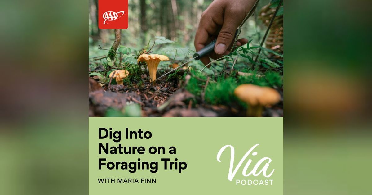 Dig Into Nature on a Foraging Trip with Maria Finn | Via Podcast