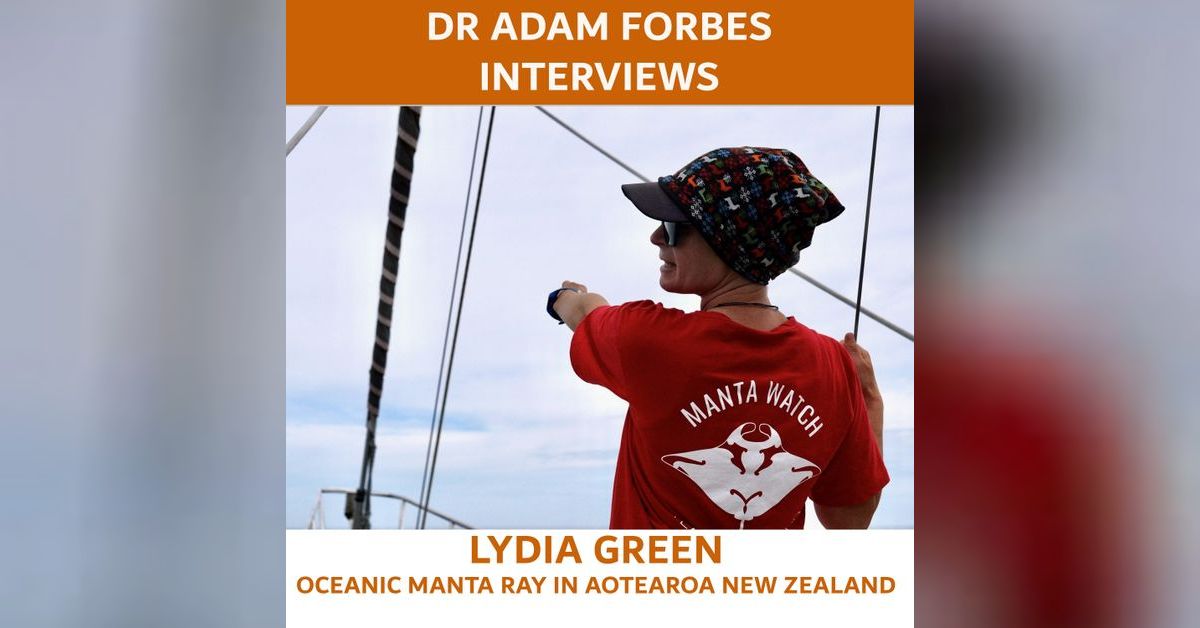Oceanic Manta Ray in Aotearoa - Lydia Green and Manta Watch New Zealand ...