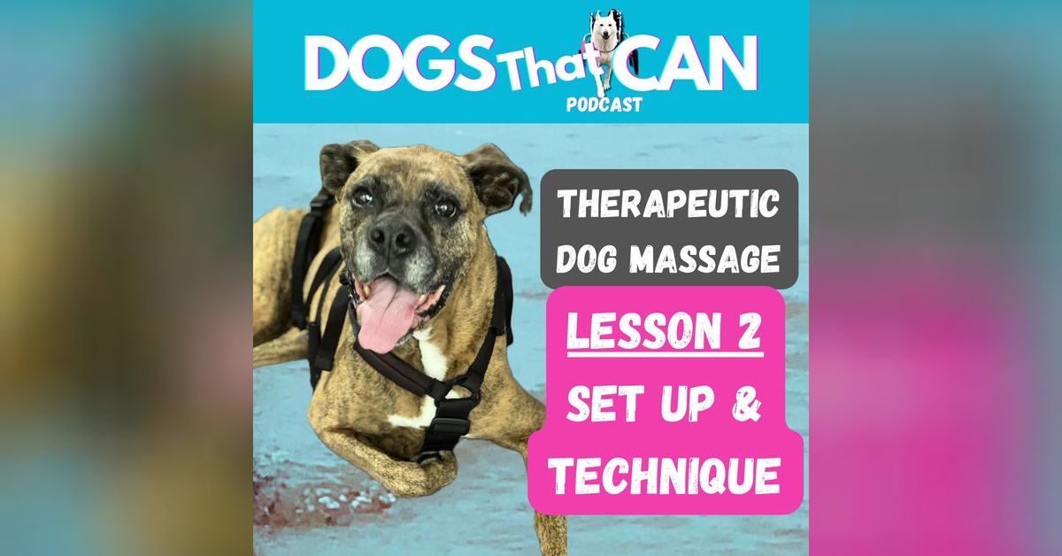 #8 Lesson 2: How to Massage Your Dog with Low Back Pain | Dogs That Can!