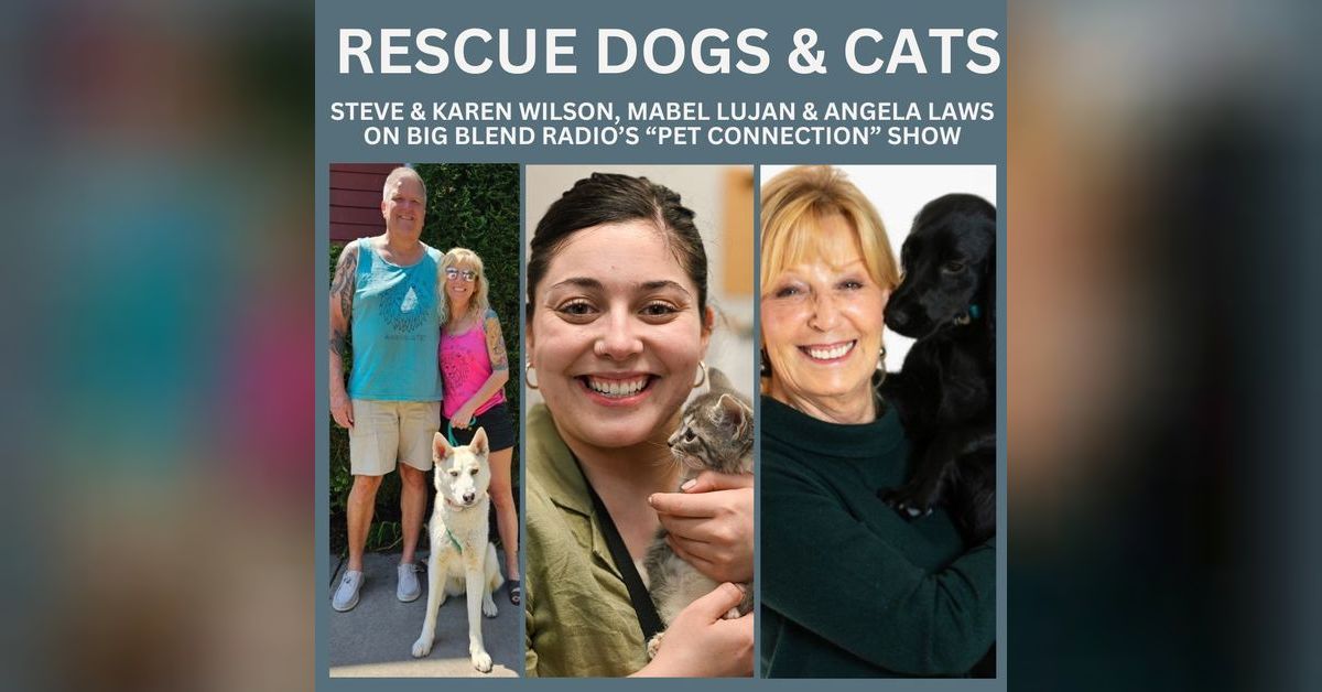 The Pet Connection - Rescue Dogs and Cats | Nature Connection Radio