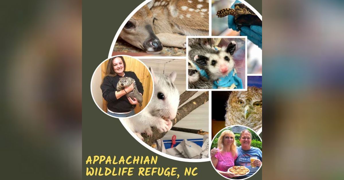 Appalachian Wildlife Refuge in North Carolina | Nature Connection Radio
