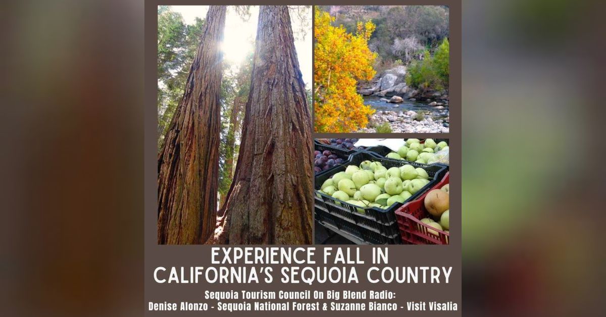 Experience Fall in California’s Sequoia Country | Parks & Travel
