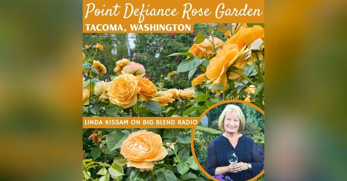 The Charm of Point Defiance Rose Garden in Tacoma | Garden Gossip