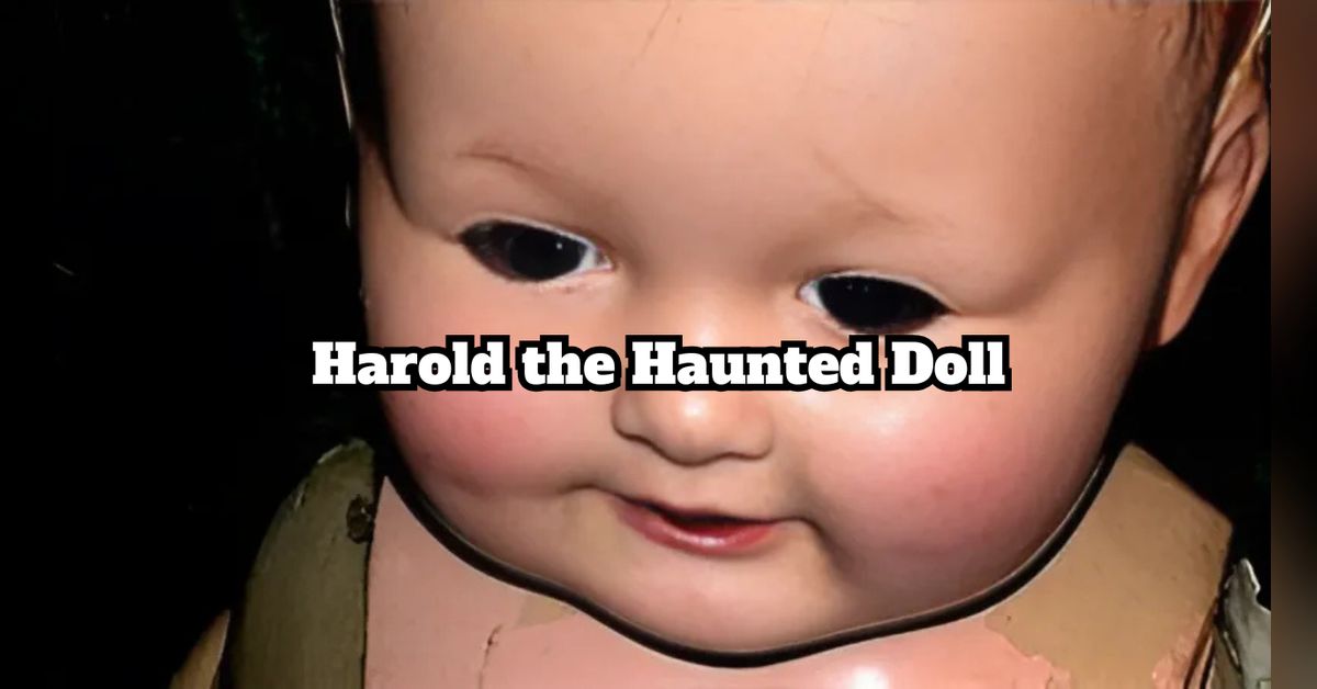 Harold the Haunted Doll | The sinisterdreadvault’s Podcast